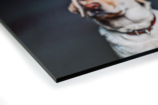 Custom Acrylic Panel - 40 x 40 Inches