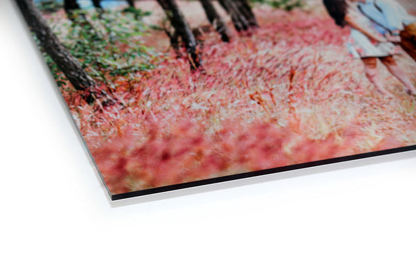 Acrylic Mounting Panel - 60 x 90 cm